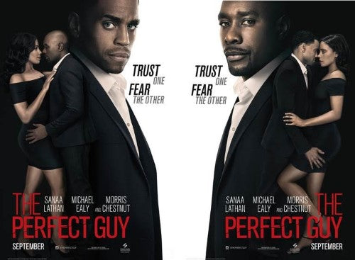 The perfect guy – Author Satya Graha Bookstore
